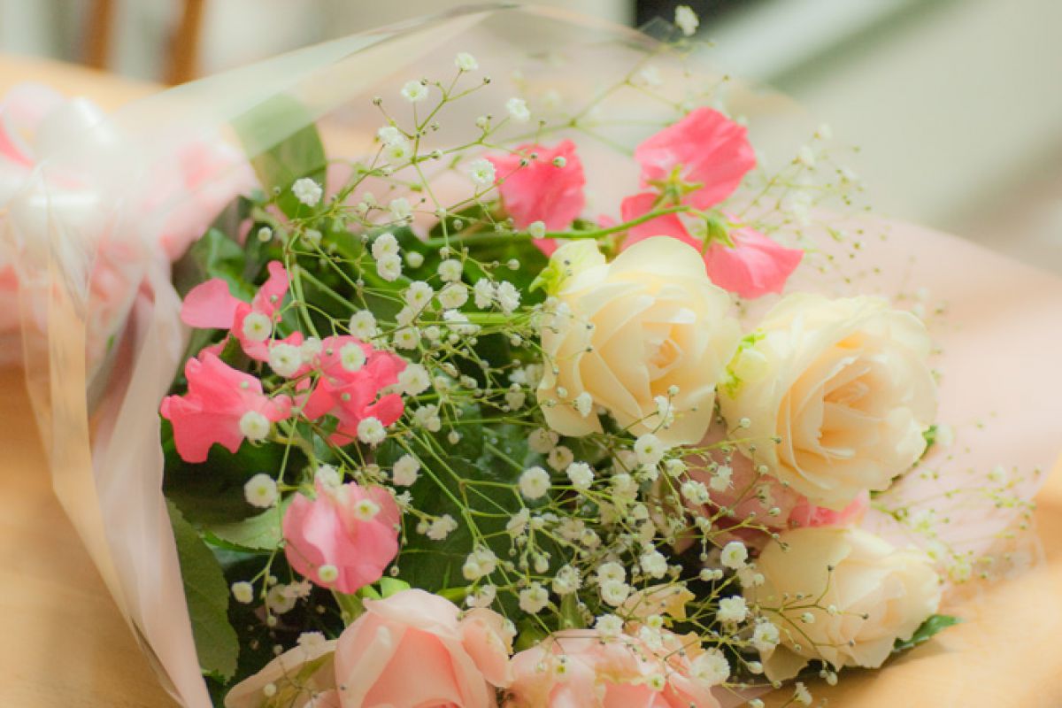 2nd Anniversary | GANREF