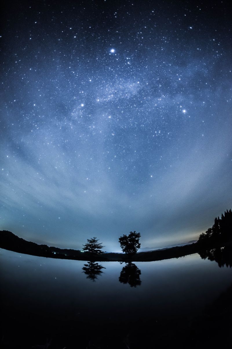 Tree star watching | GANREF