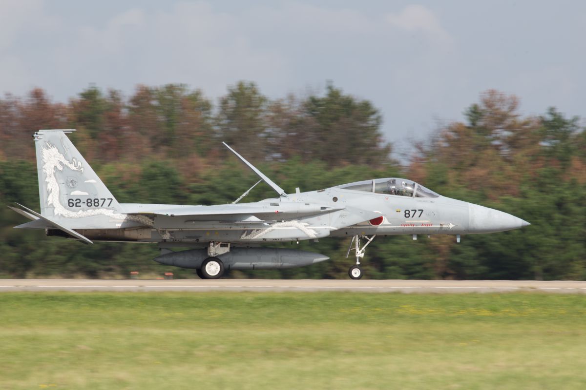 Fighting Dragon | GANREF