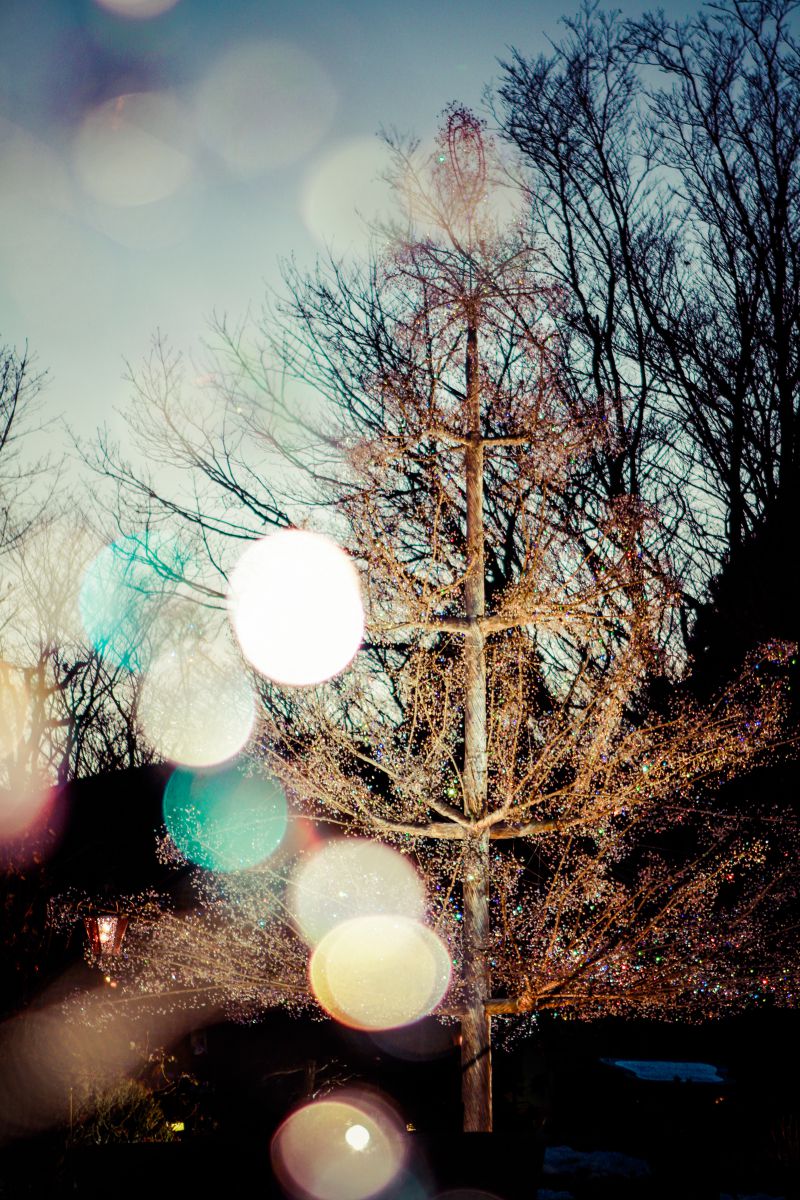 Humonic tree | GANREF