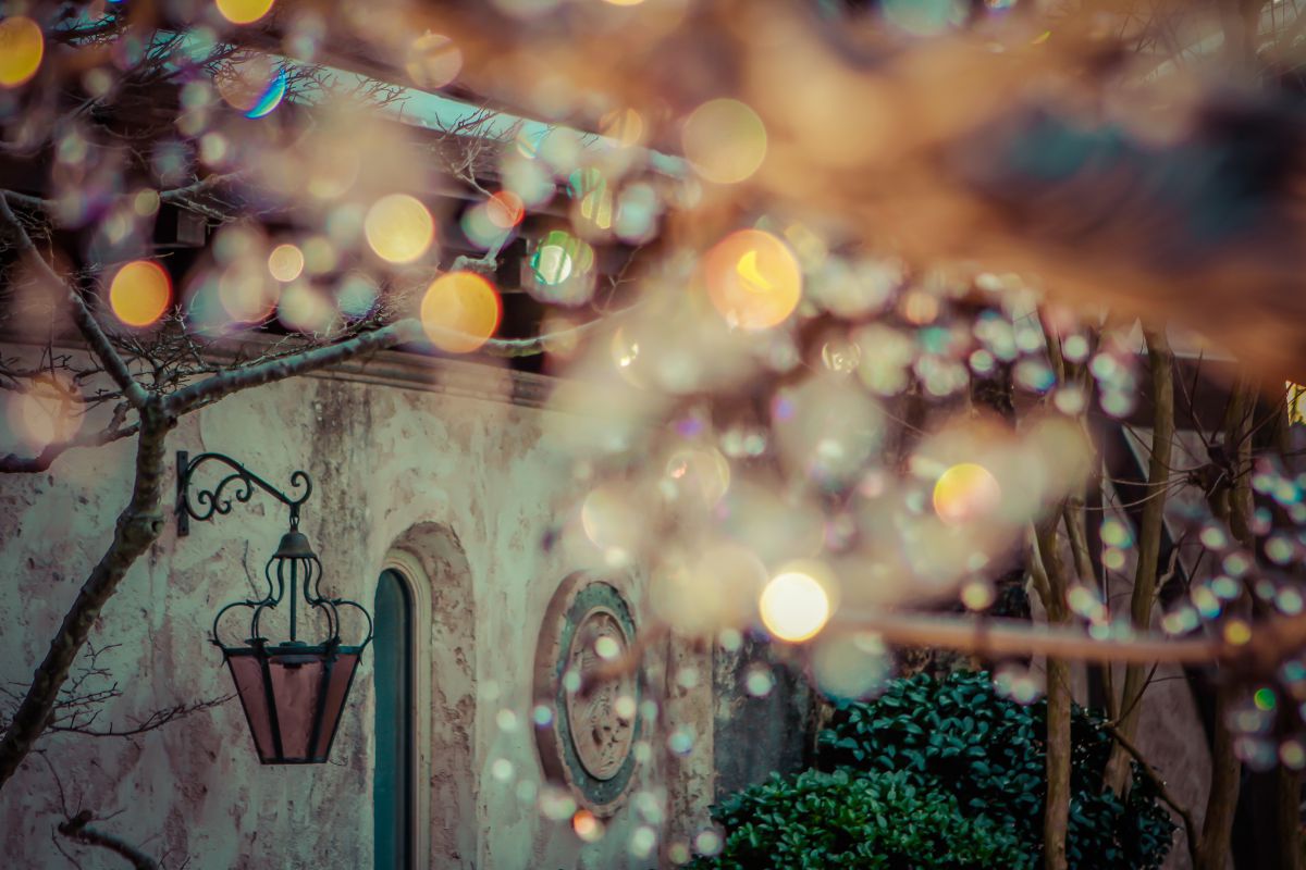 Falling Light | GANREF