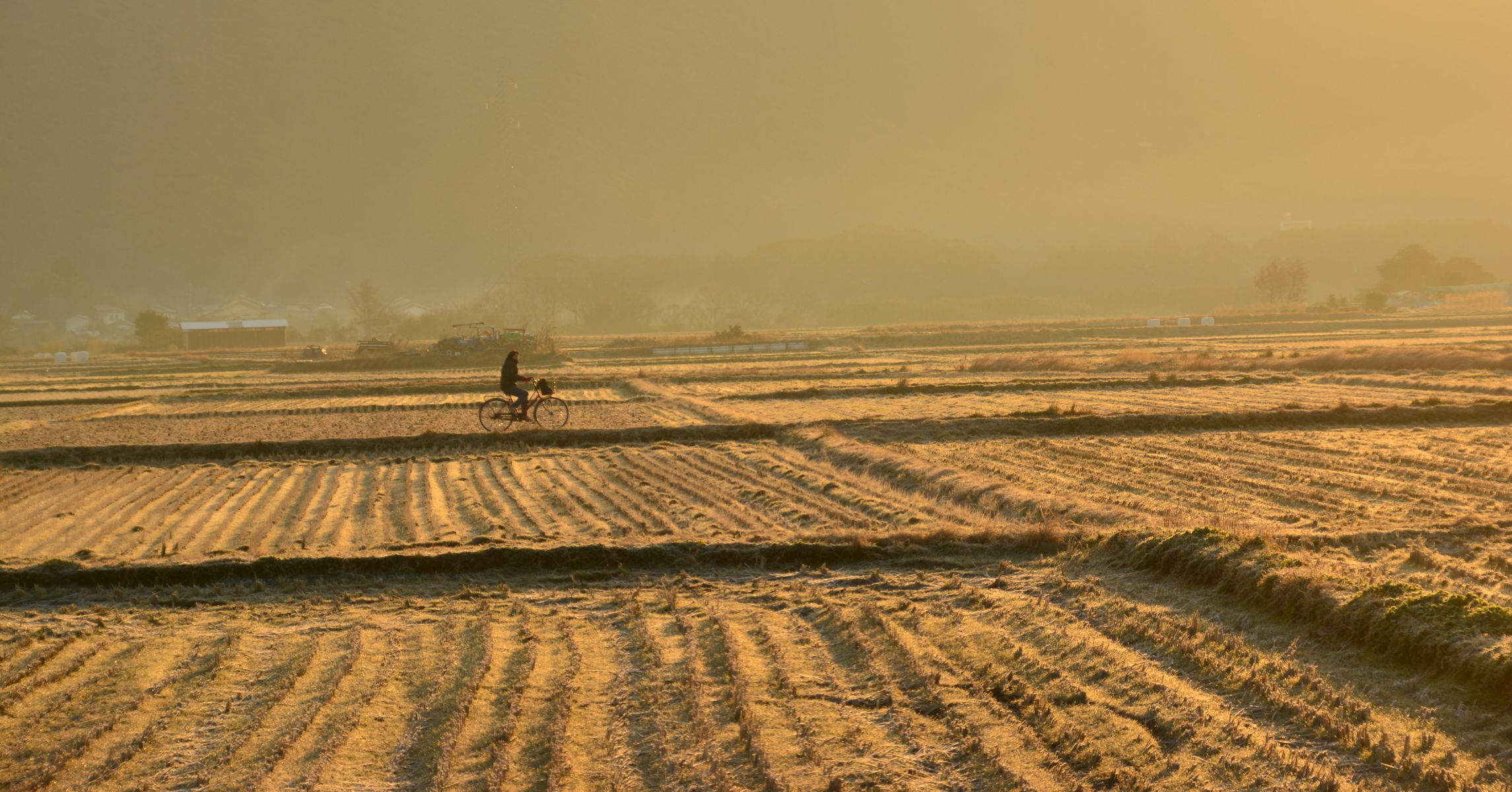 職場へ急ぐ | GANREF
