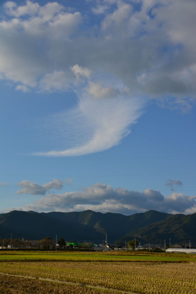 雲に魅せられ | GANREF