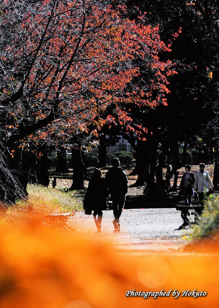 Fall in love | GANREF