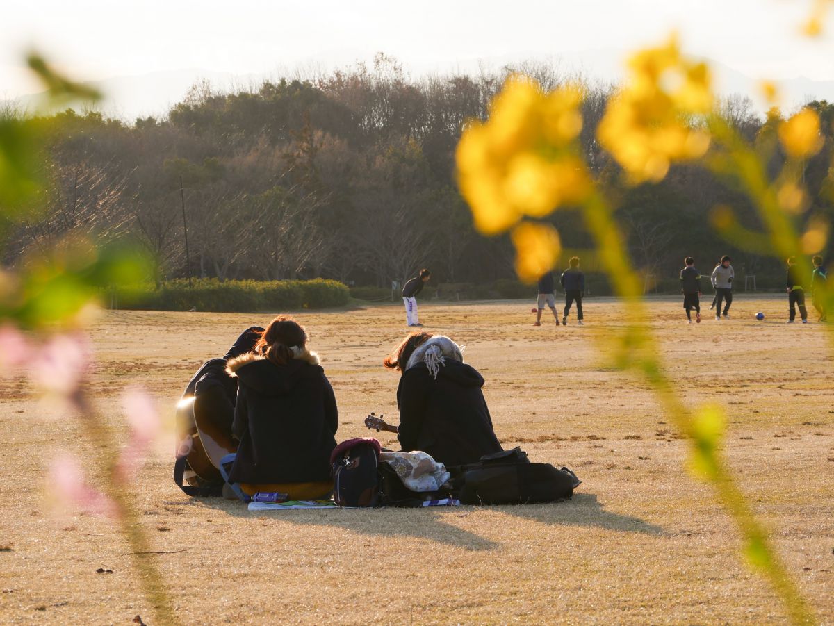 Moment Like Forever | GANREF