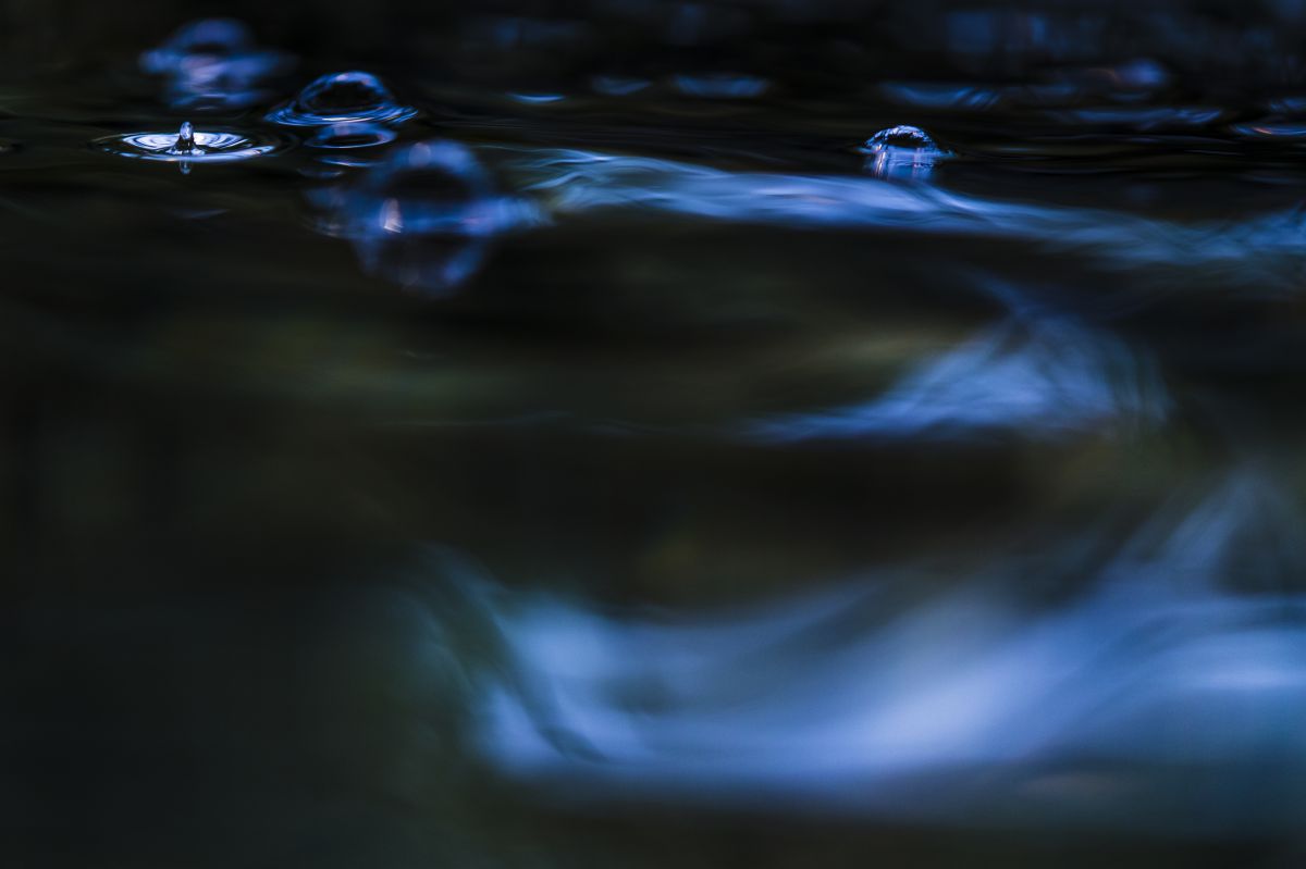 セレナーデ | GANREF