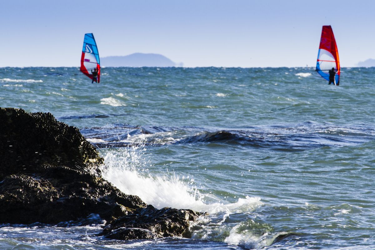 before the wind | GANREF