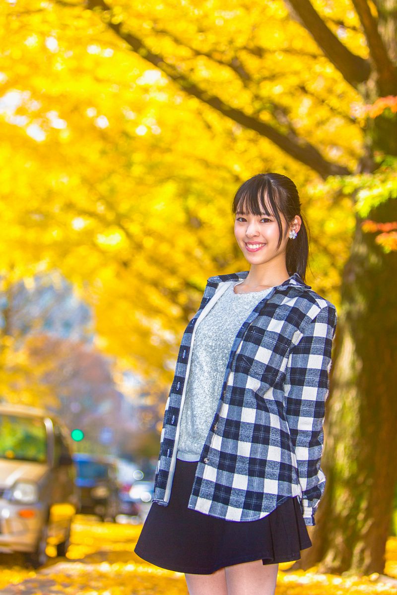 銀杏並木 | GANREF