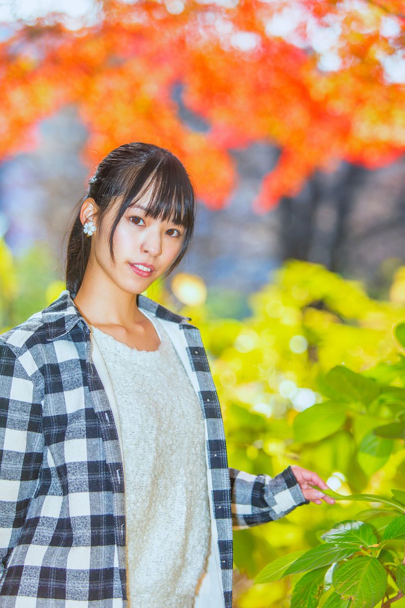 紅葉の中で・4 | GANREF