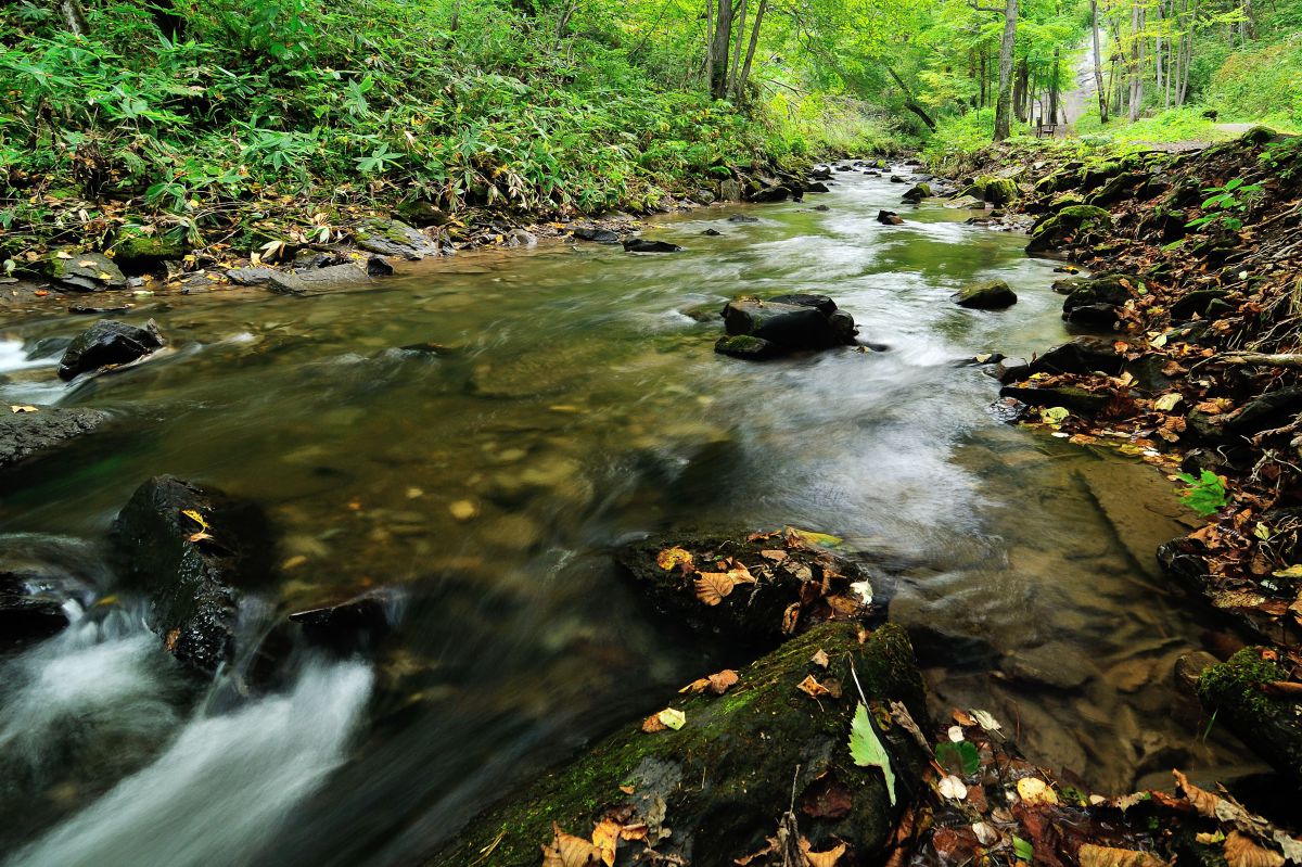 autumn flow | GANREF