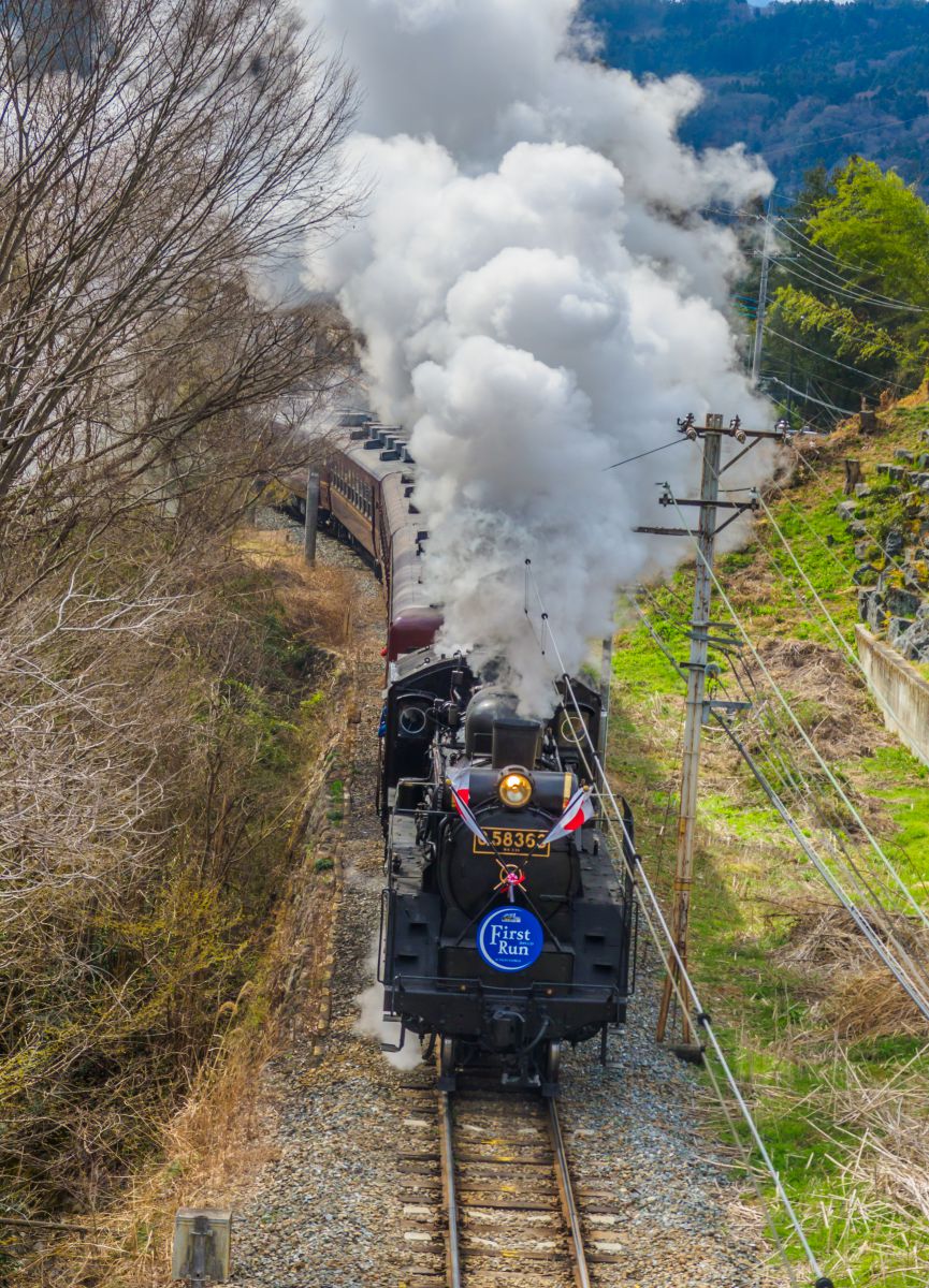 2019 First Run | GANREF