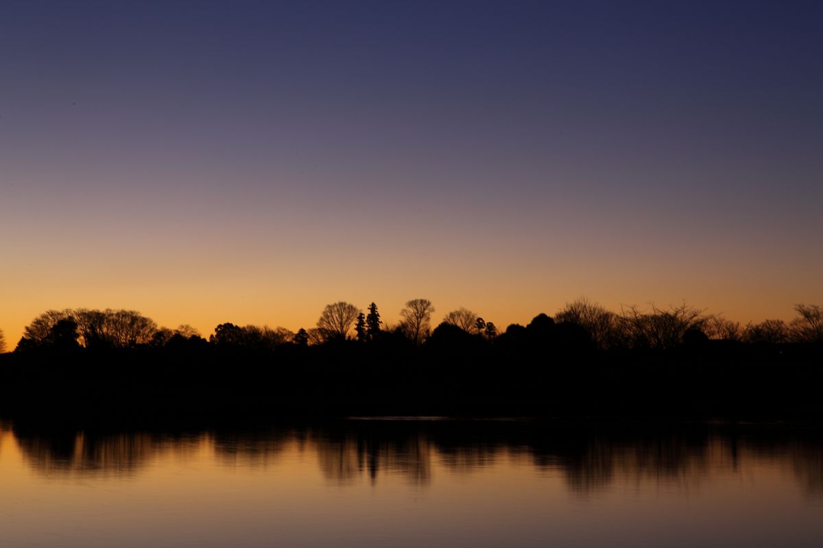 2010元旦(2) | GANREF