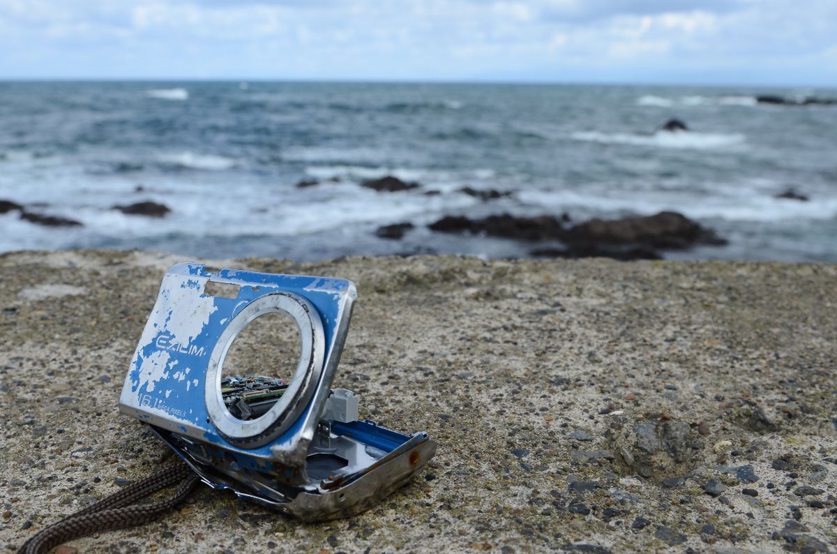 夏の忘れ物 | GANREF