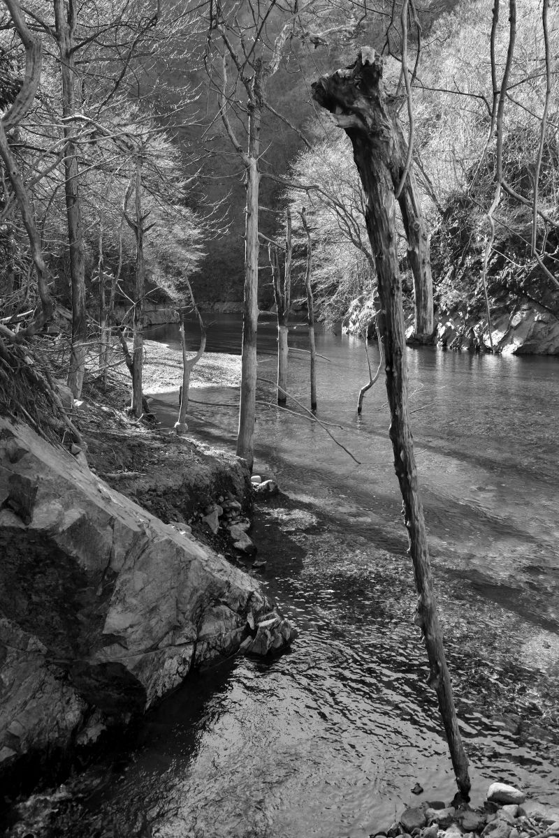 Exquisite balance | GANREF