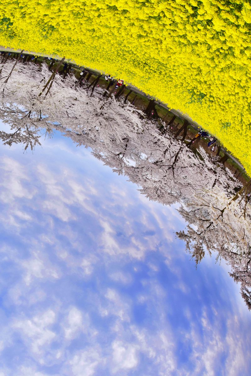 Spring Planet | GANREF