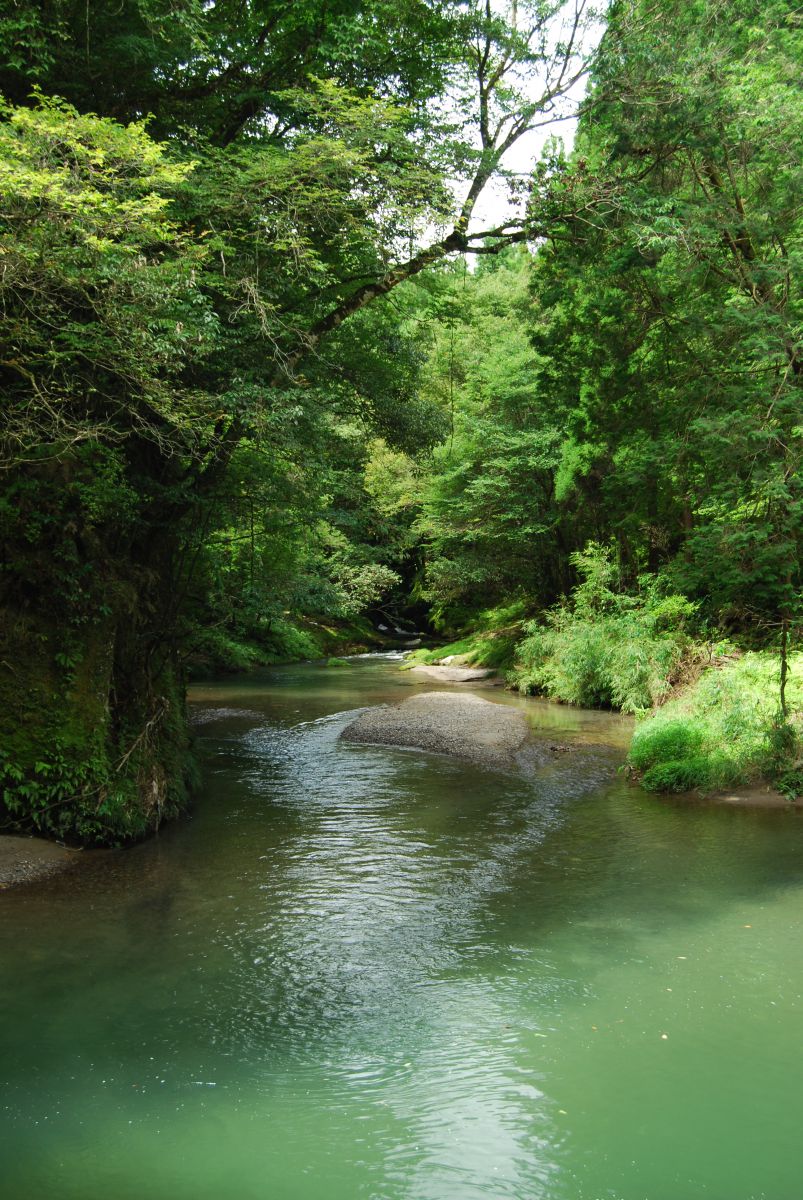 久留味川峡 | GANREF