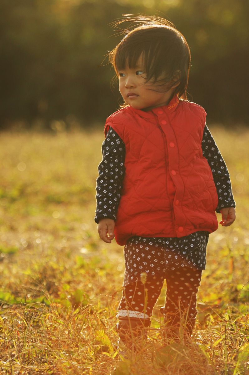 あれからどれぐらい・・・ | GANREF