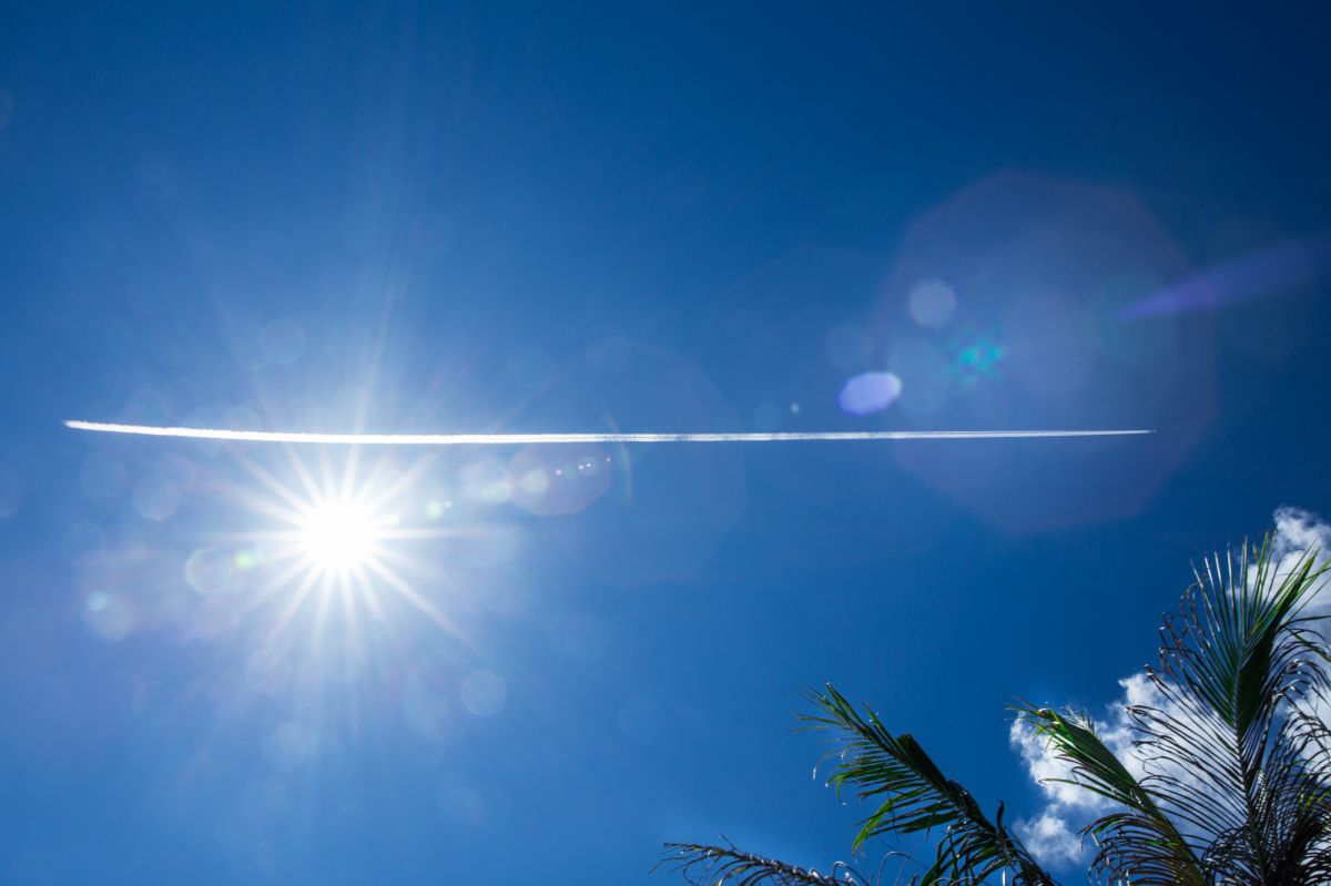 Perfect Sky | GANREF