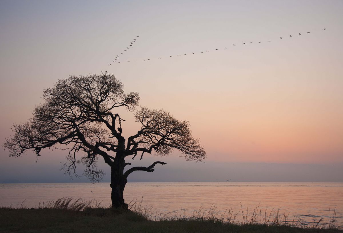 See you again | GANREF