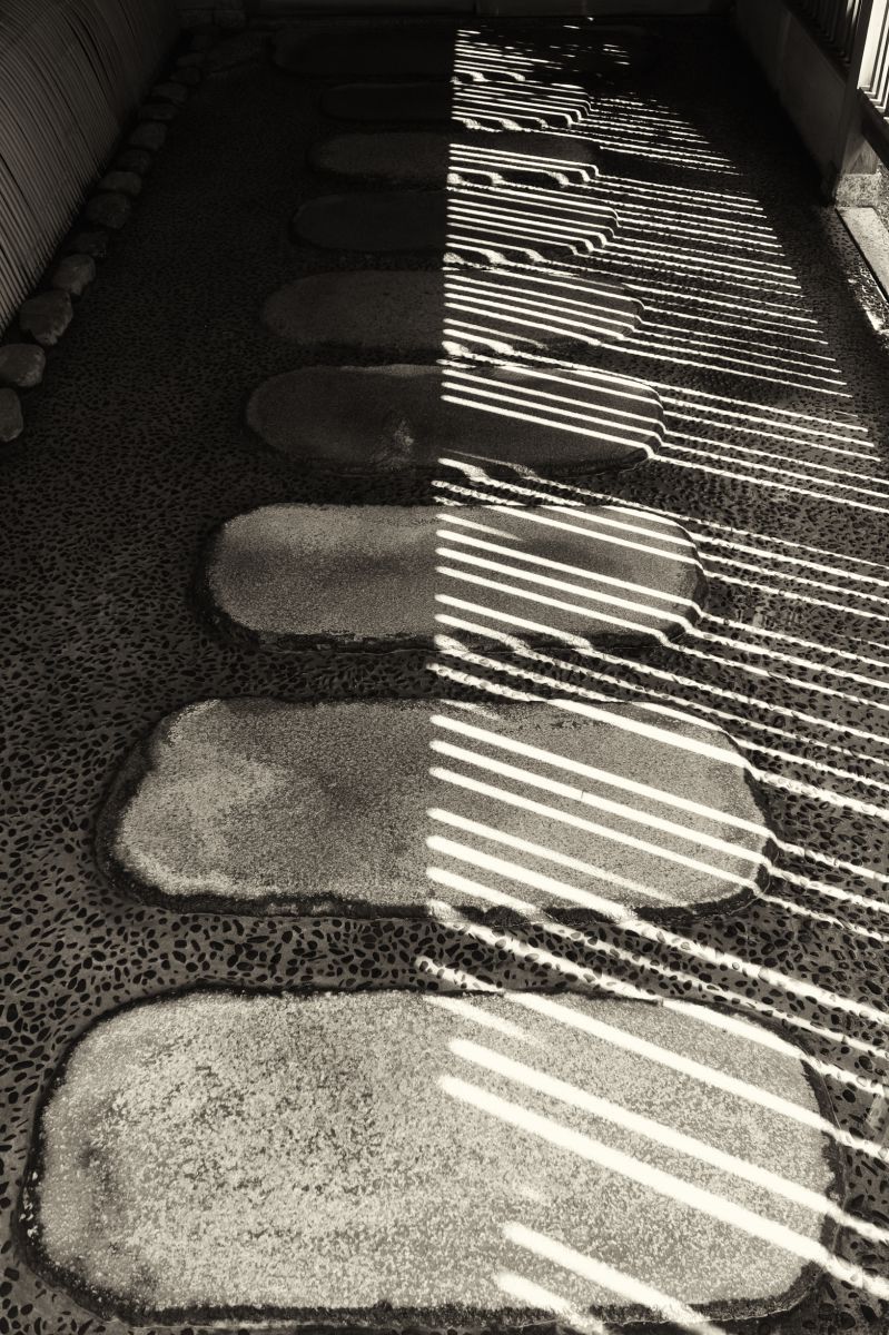 Shadows & Lights | GANREF