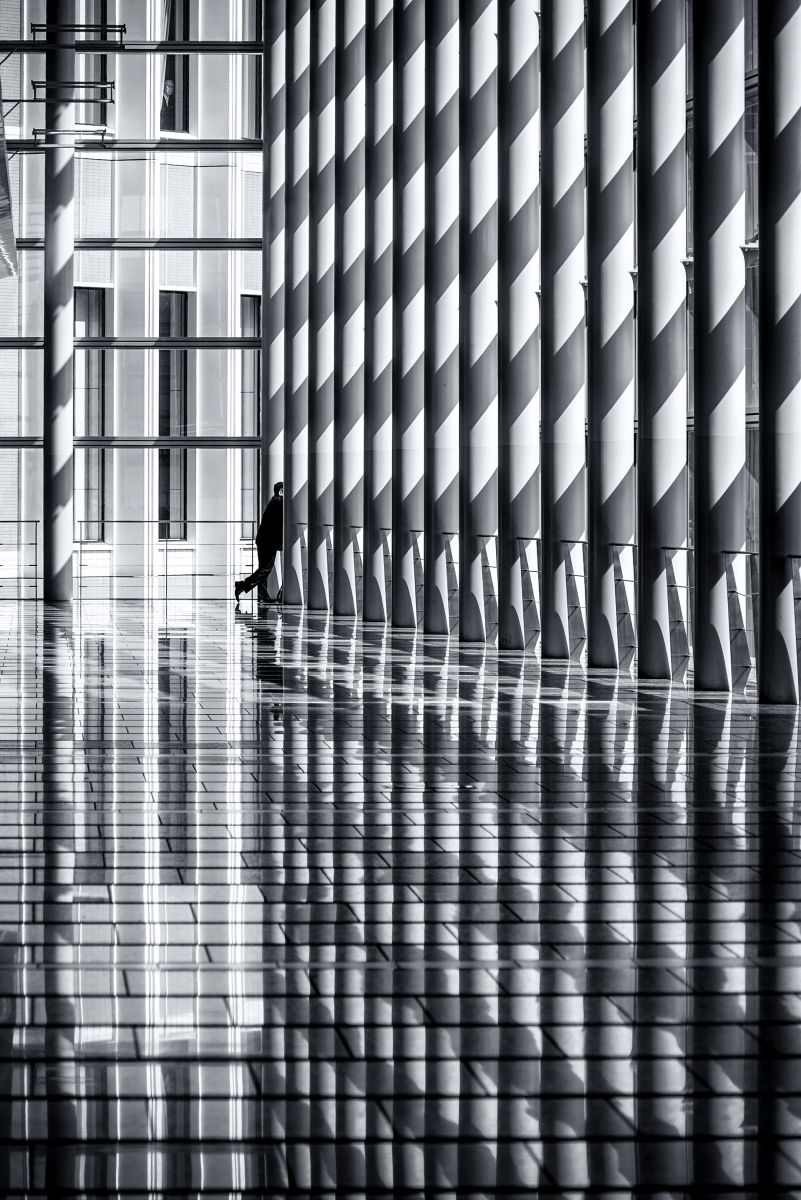 Shadows & Lights | GANREF