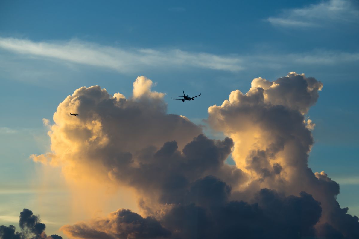 Summer flight | GANREF