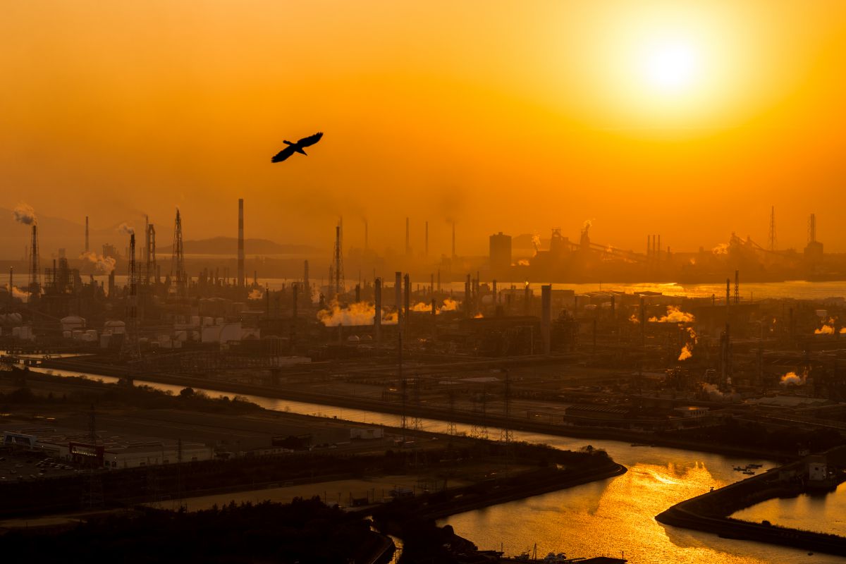 Last flight | GANREF