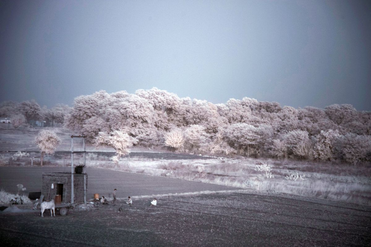 スローライフ | GANREF