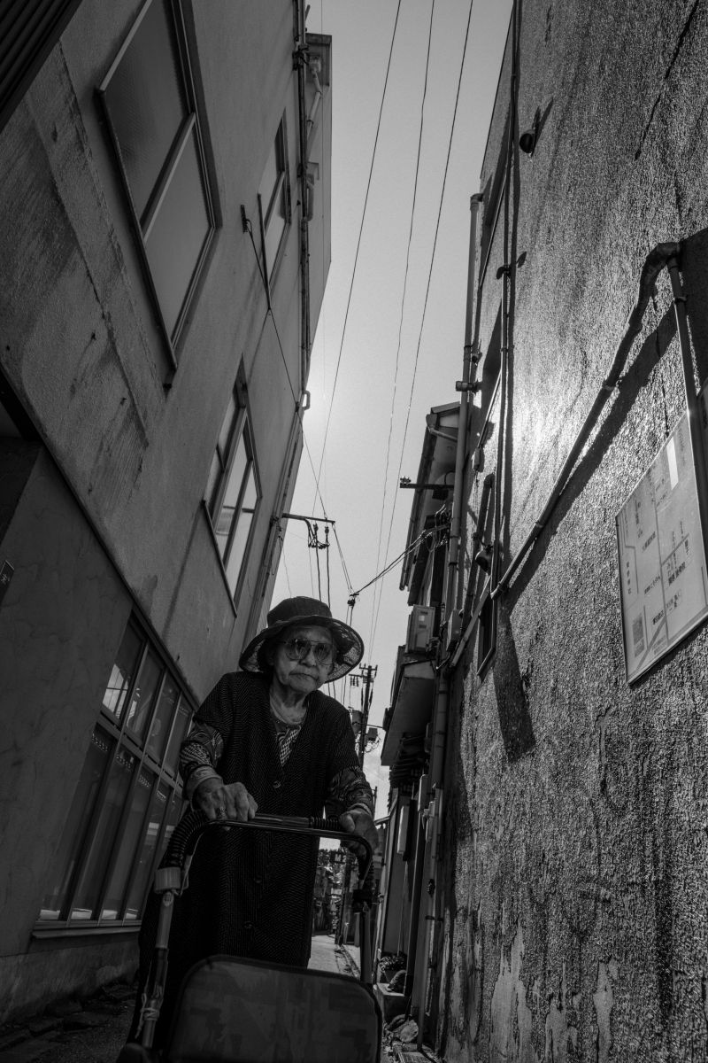 ここで生きる | GANREF