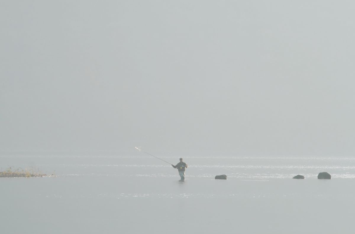 Casting In The Morning | GANREF