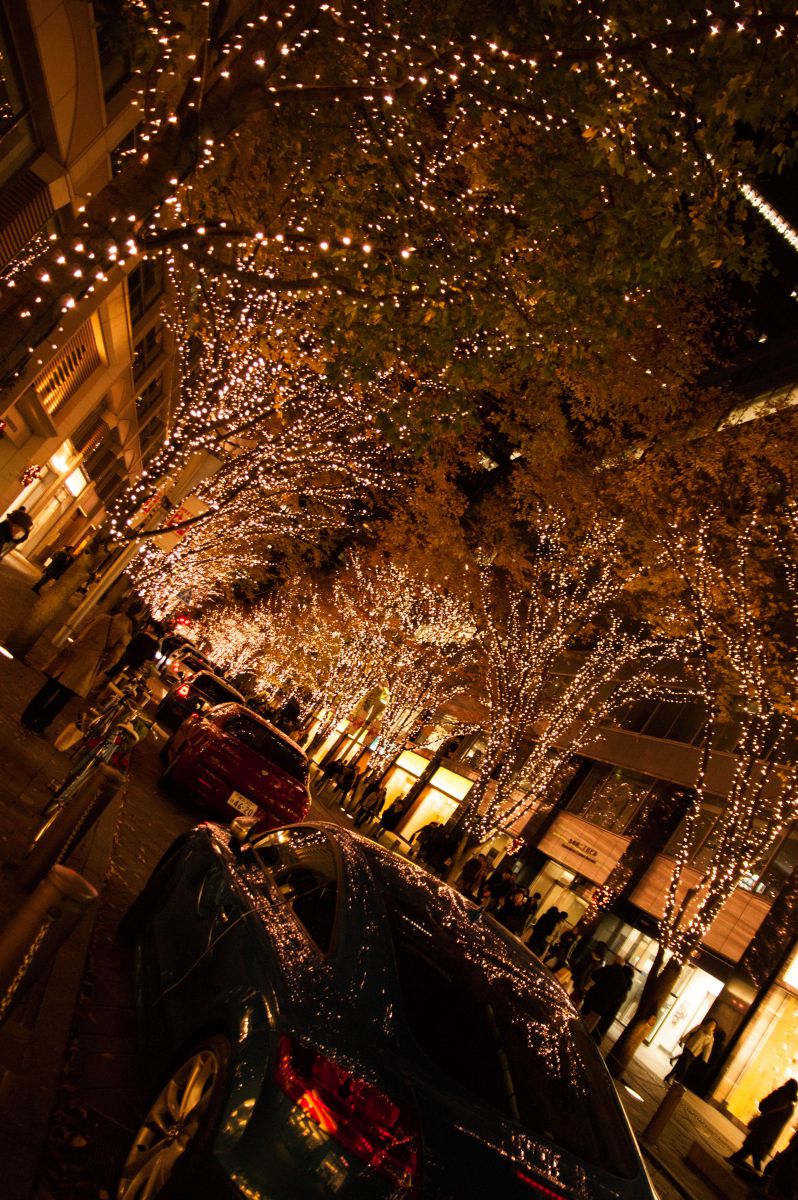 sparkling road | GANREF