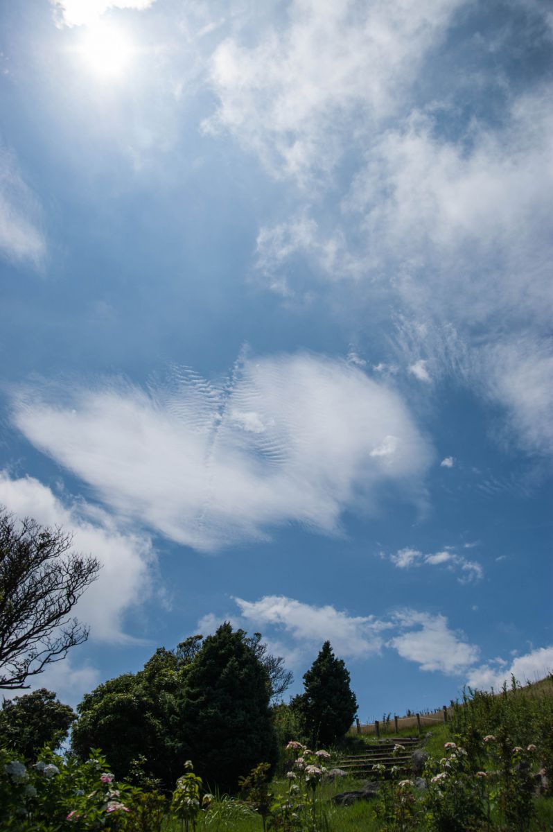 marvelous pattern | GANREF