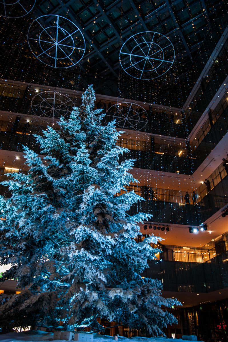 WHITE KITTE | GANREF