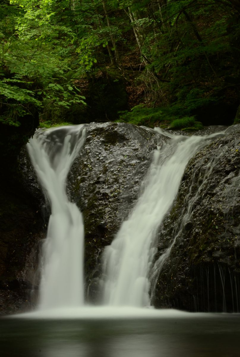 Smooth Surface | GANREF