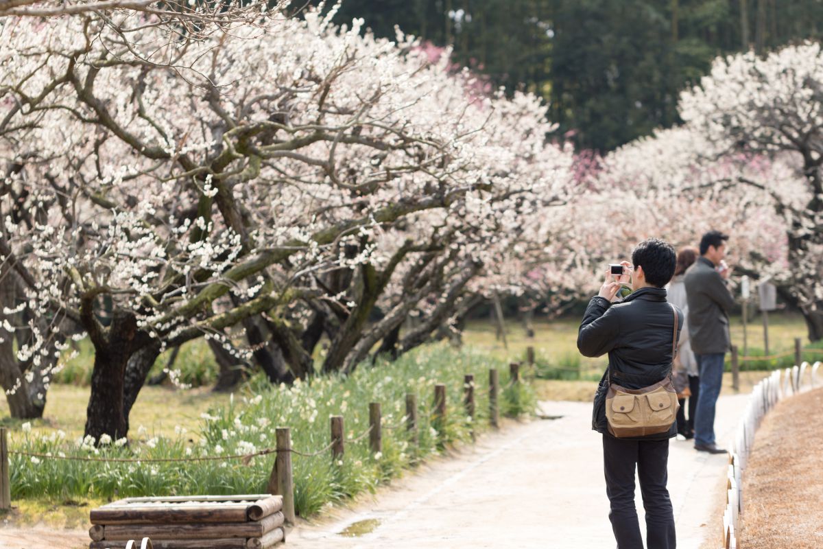 20150314)後楽園にて1 | GANREF