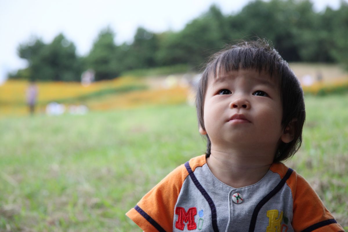 物思いに耽る | GANREF