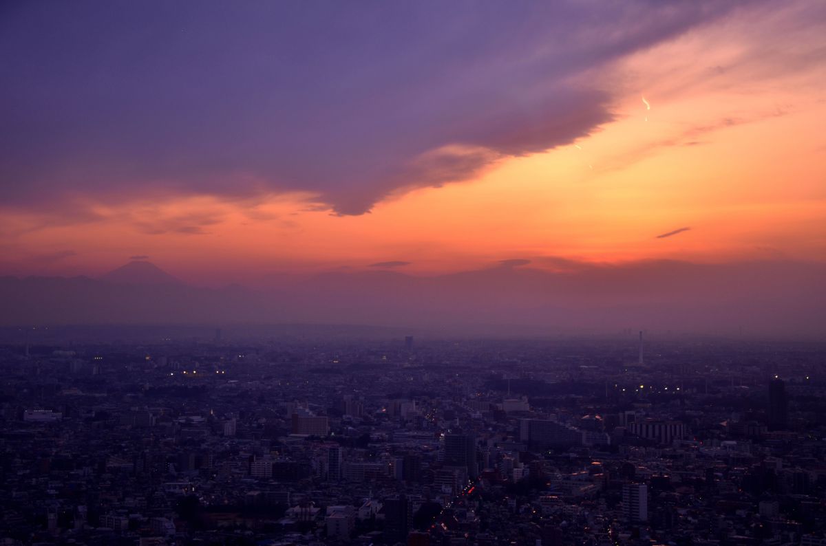 tokyo twilight | GANREF