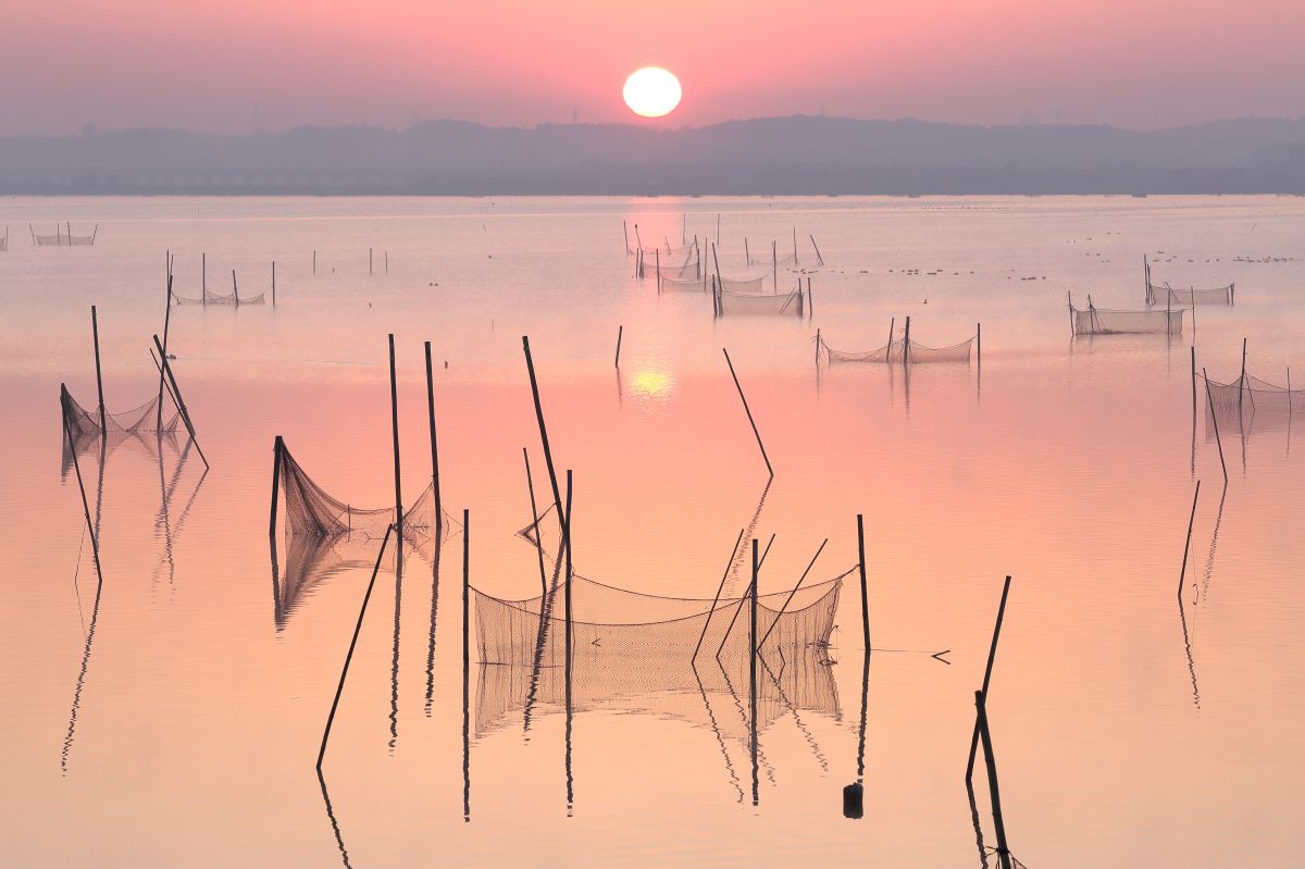 Soft Rising | GANREF