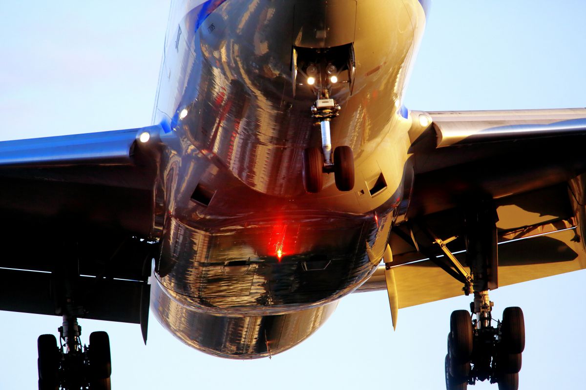 nice-looking body | GANREF