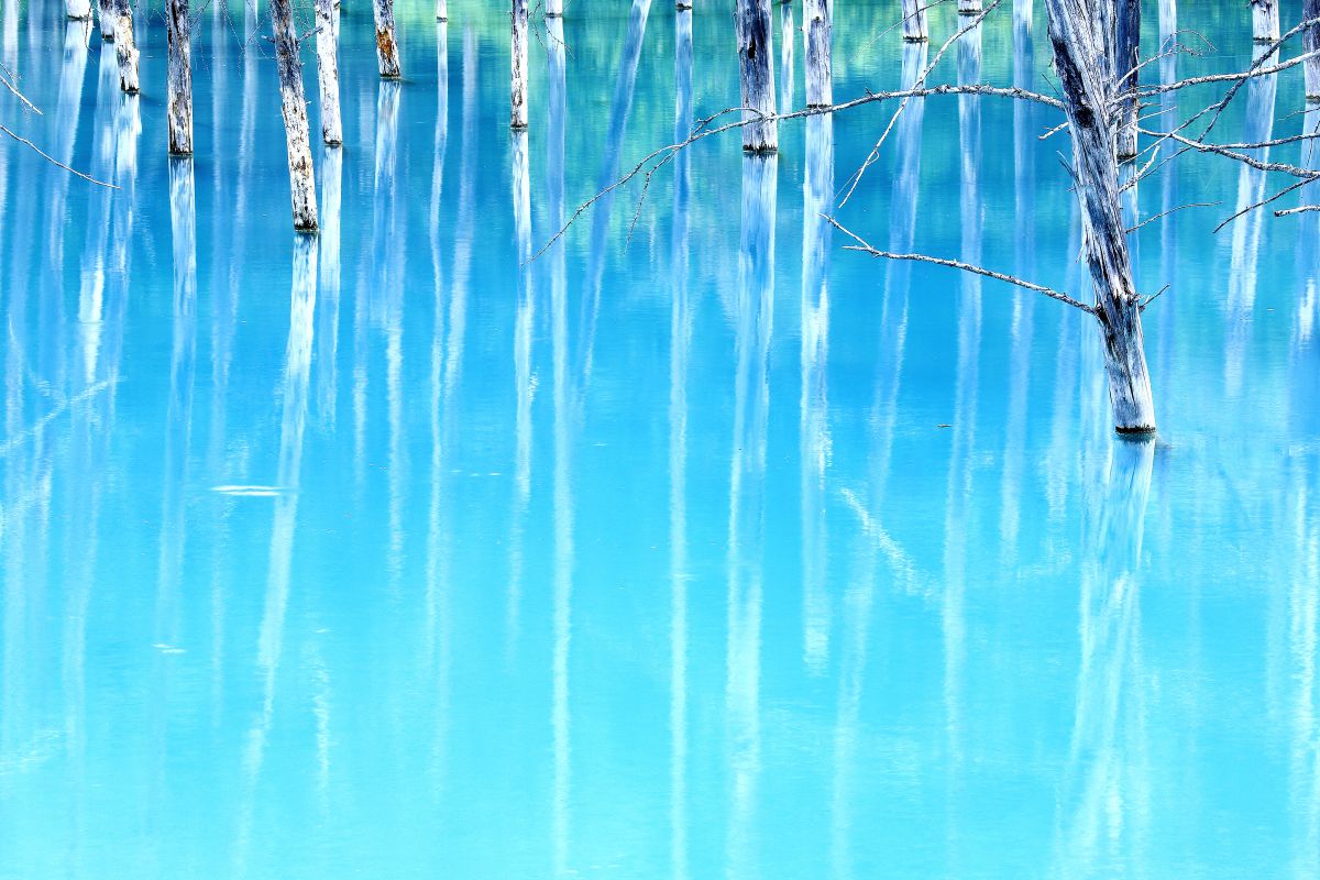 NORTHLAND BLUE | GANREF