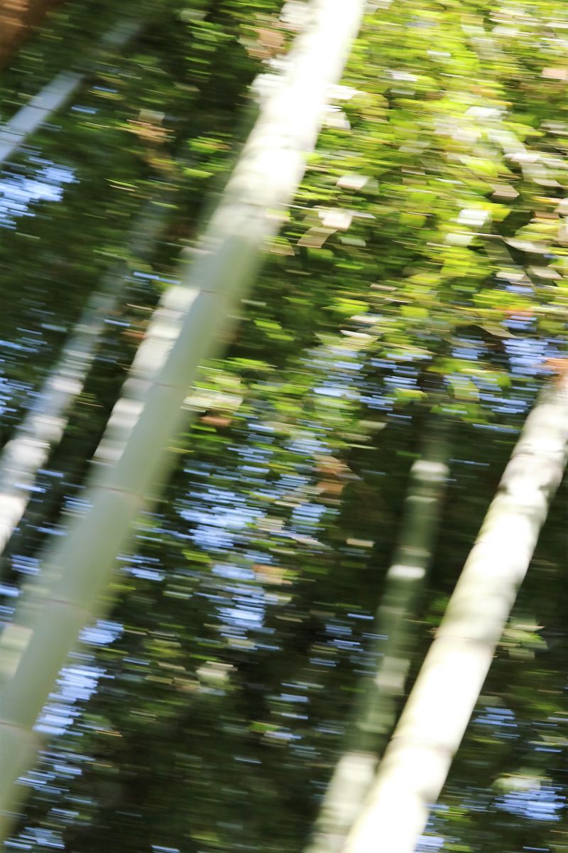 ん・・・？ | GANREF