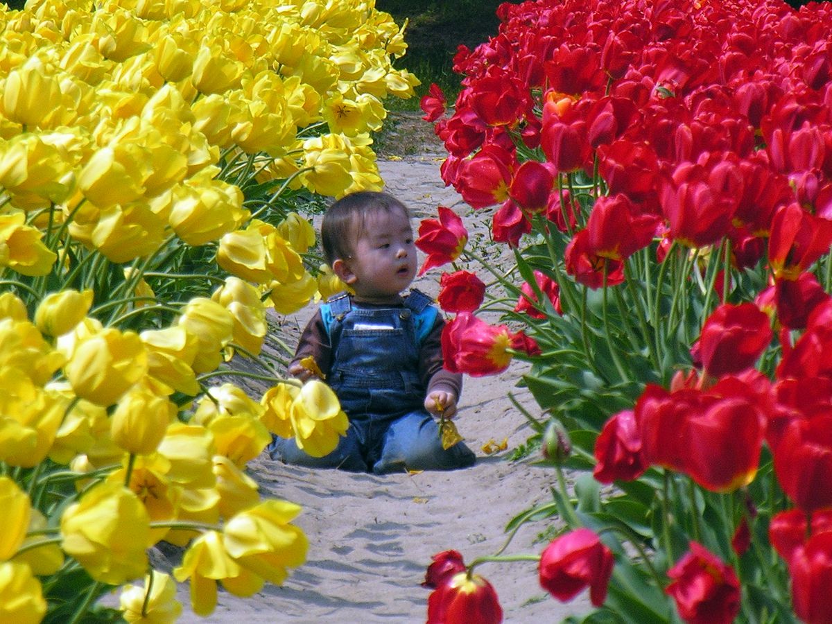 素敵な空間 | GANREF