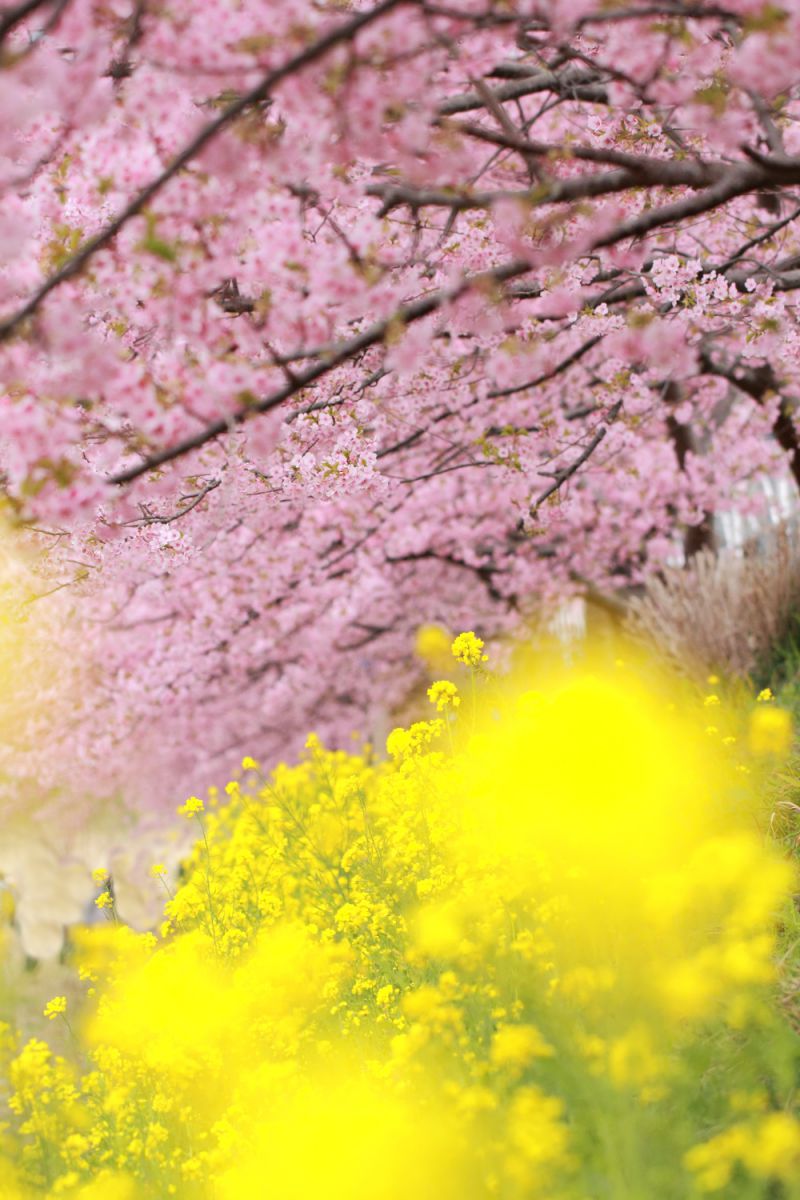 IMG_6199-1.JPG | GANREF