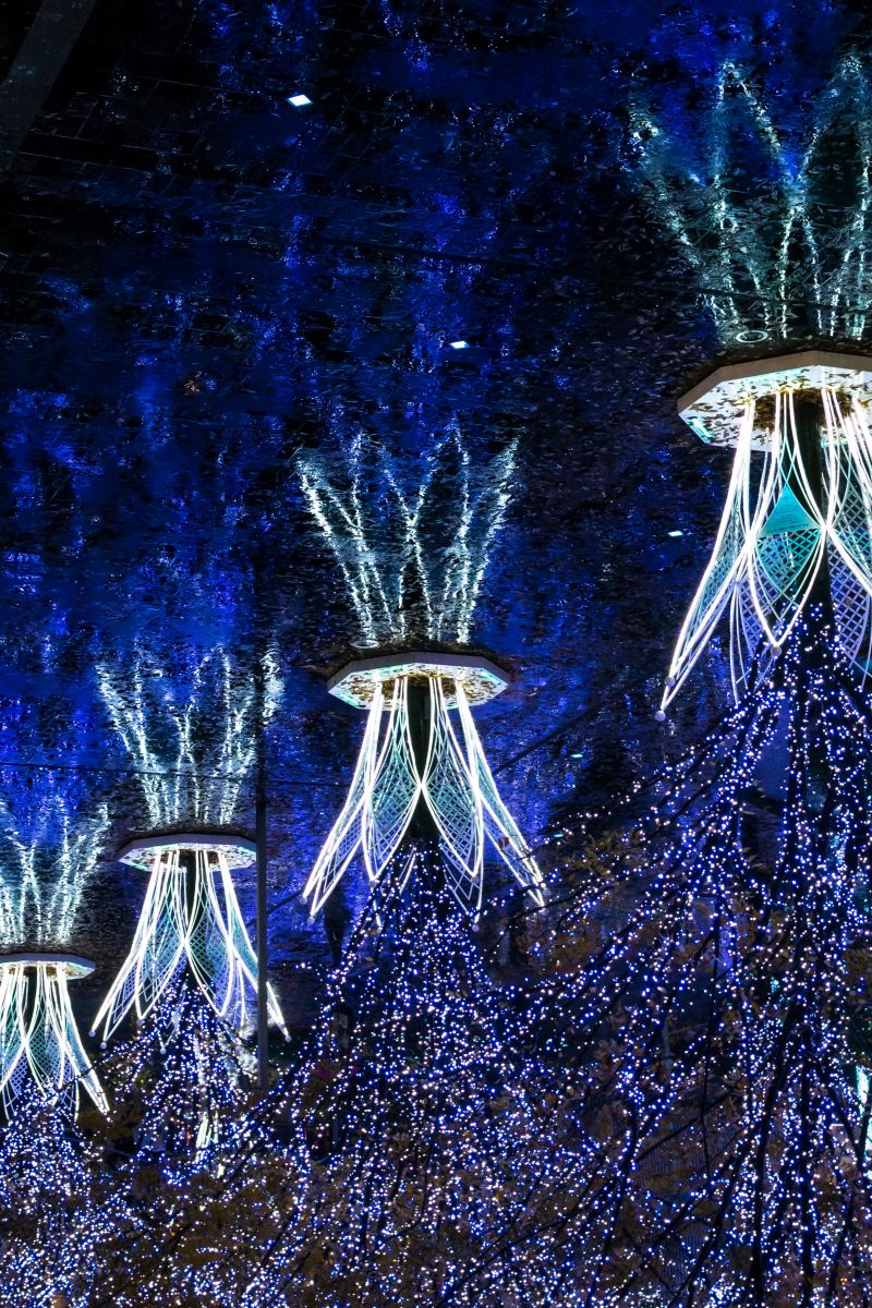 Hakata Rockets | GANREF