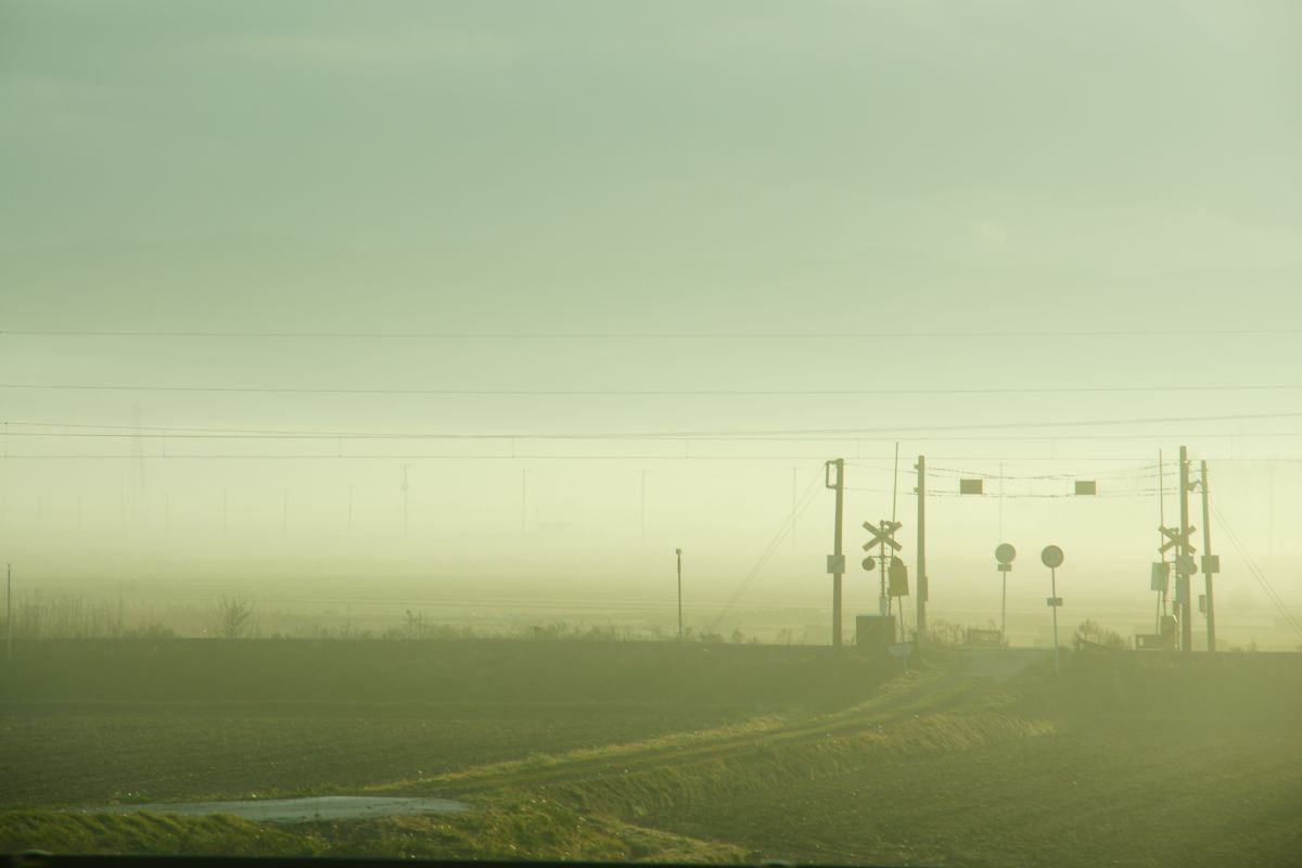 MORNING MIST | GANREF