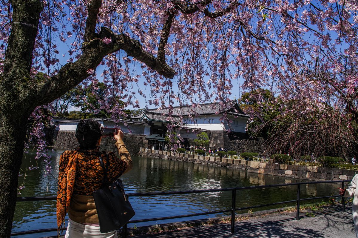 日本情緒 ① | GANREF