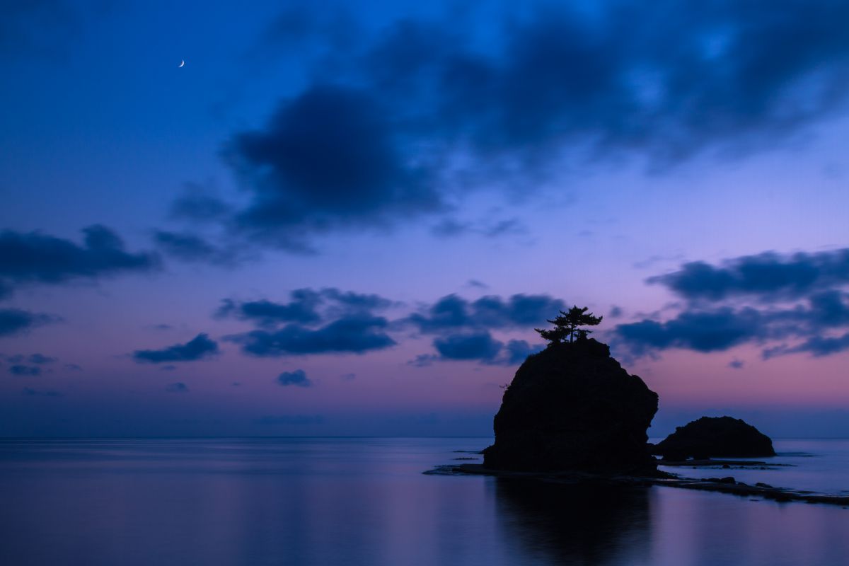 Goodbye Day | GANREF