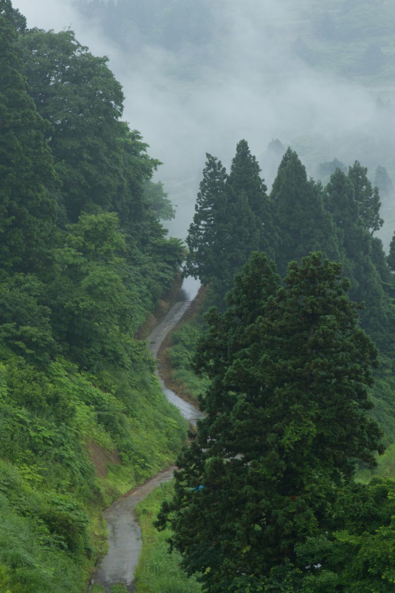 Winding Road | GANREF