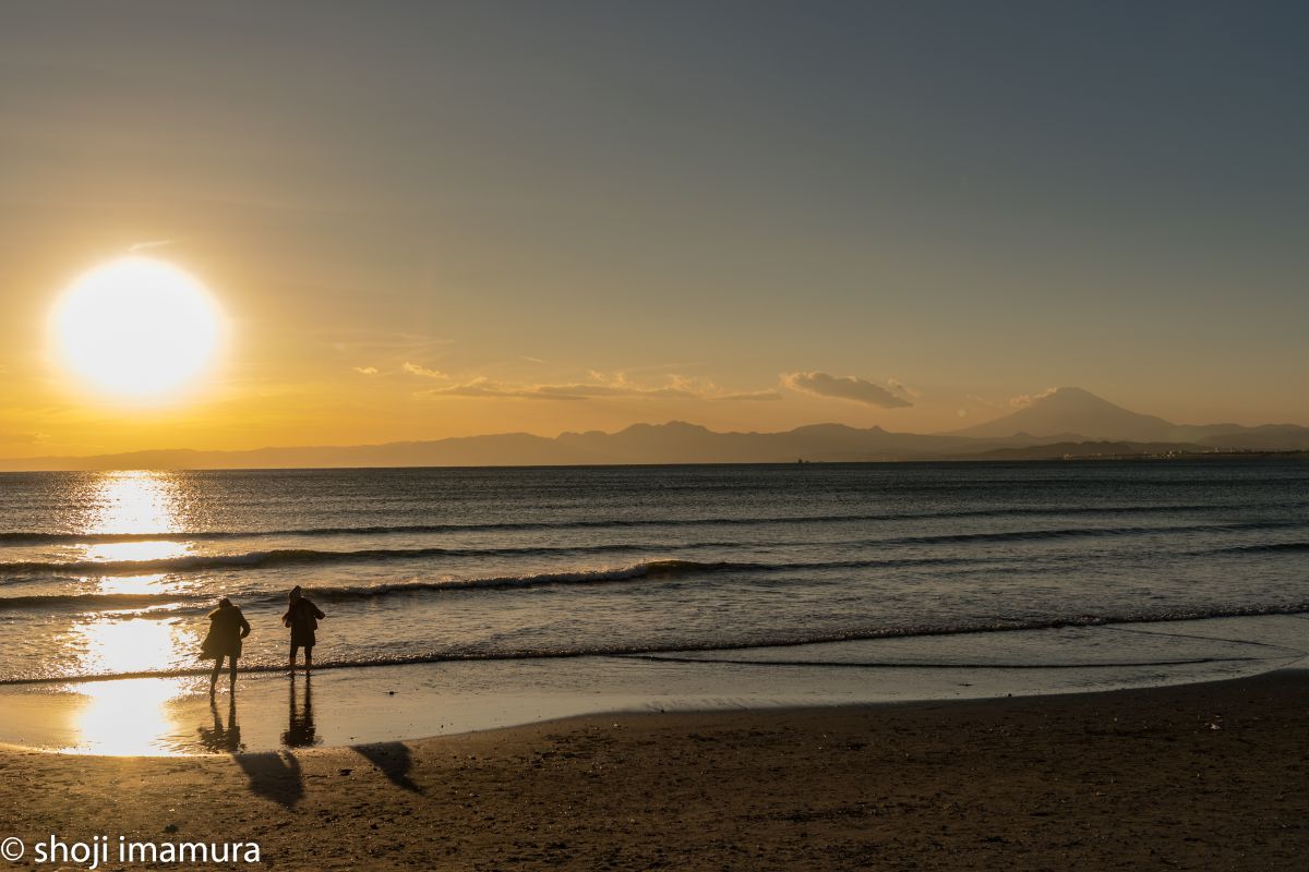 海少女’s | GANREF