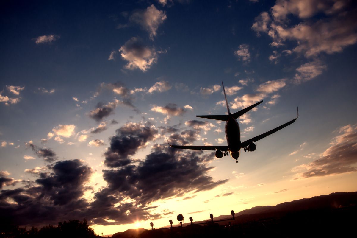 fly to the night | GANREF